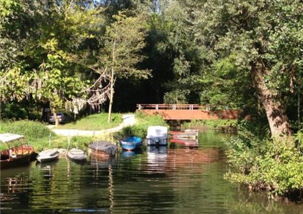 Besozzo: i luoghi - VareseNews - Foto