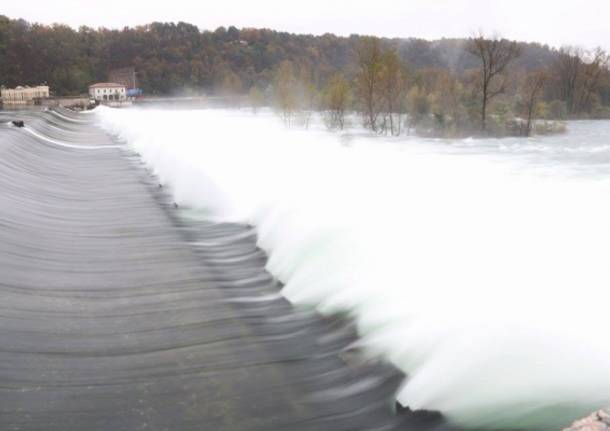 La piena del Ticino al Panperduto - VareseNews - Foto