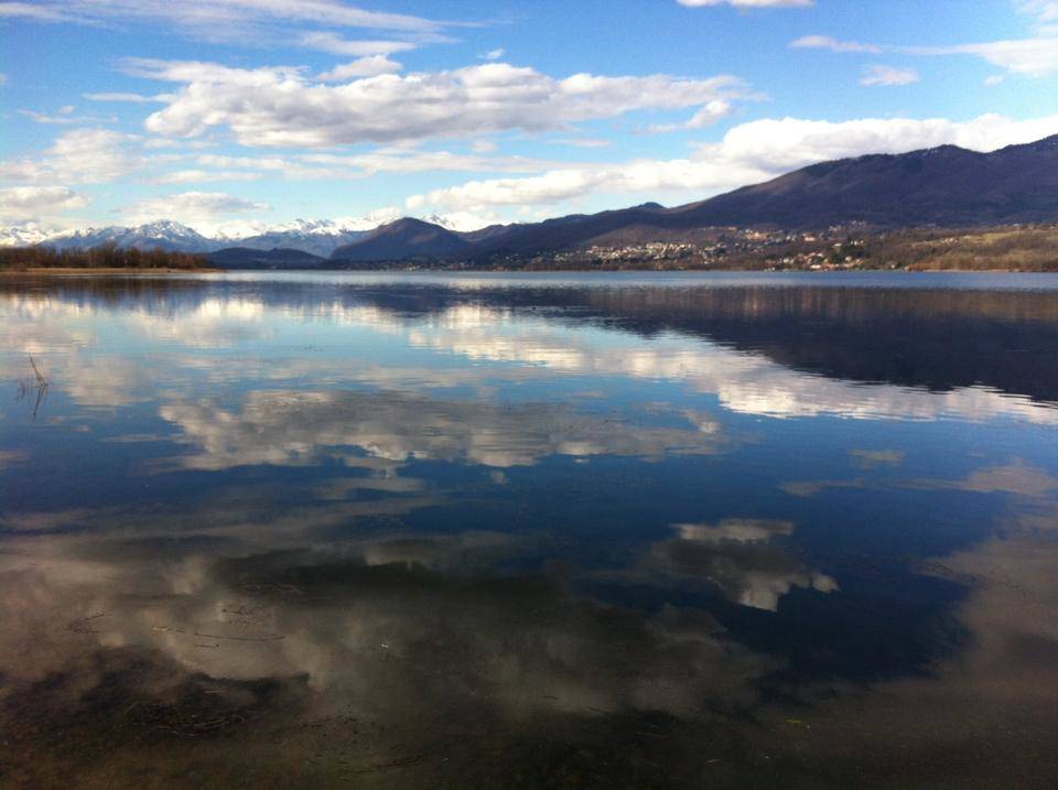 Lo specchio del lago - VareseNews