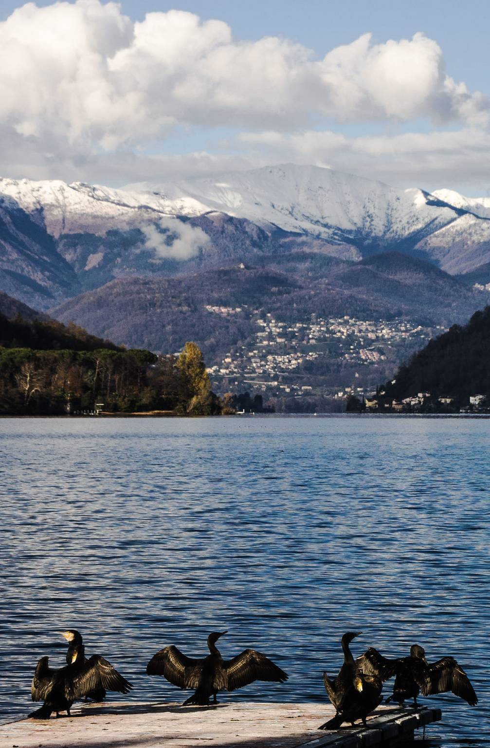 Uno scatto da Porto Ceresio - VareseNews