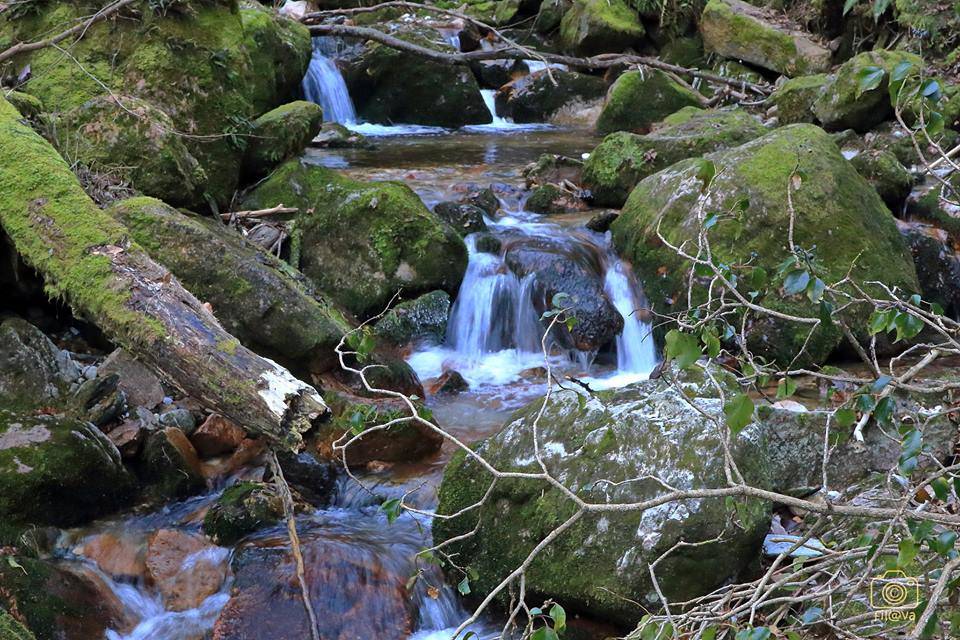 Giochi d'acqua - VareseNews