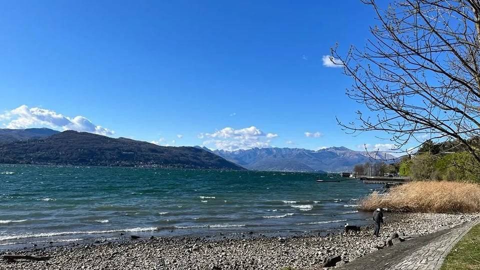 Sole e vento sul lago a Ispra - VareseNews