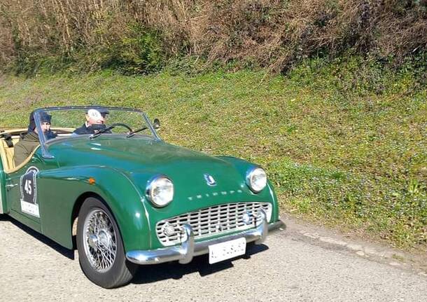 Auto storiche in riva al Ticino - VareseNews - Foto