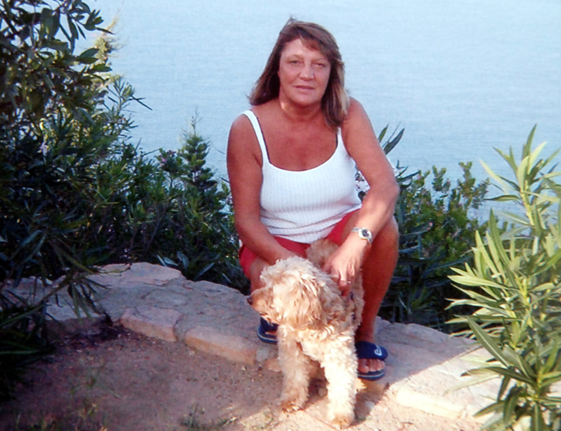 Annuncio Famiglia MARIA TERESA OSSOLA ved. RUOCCO - VareseNews